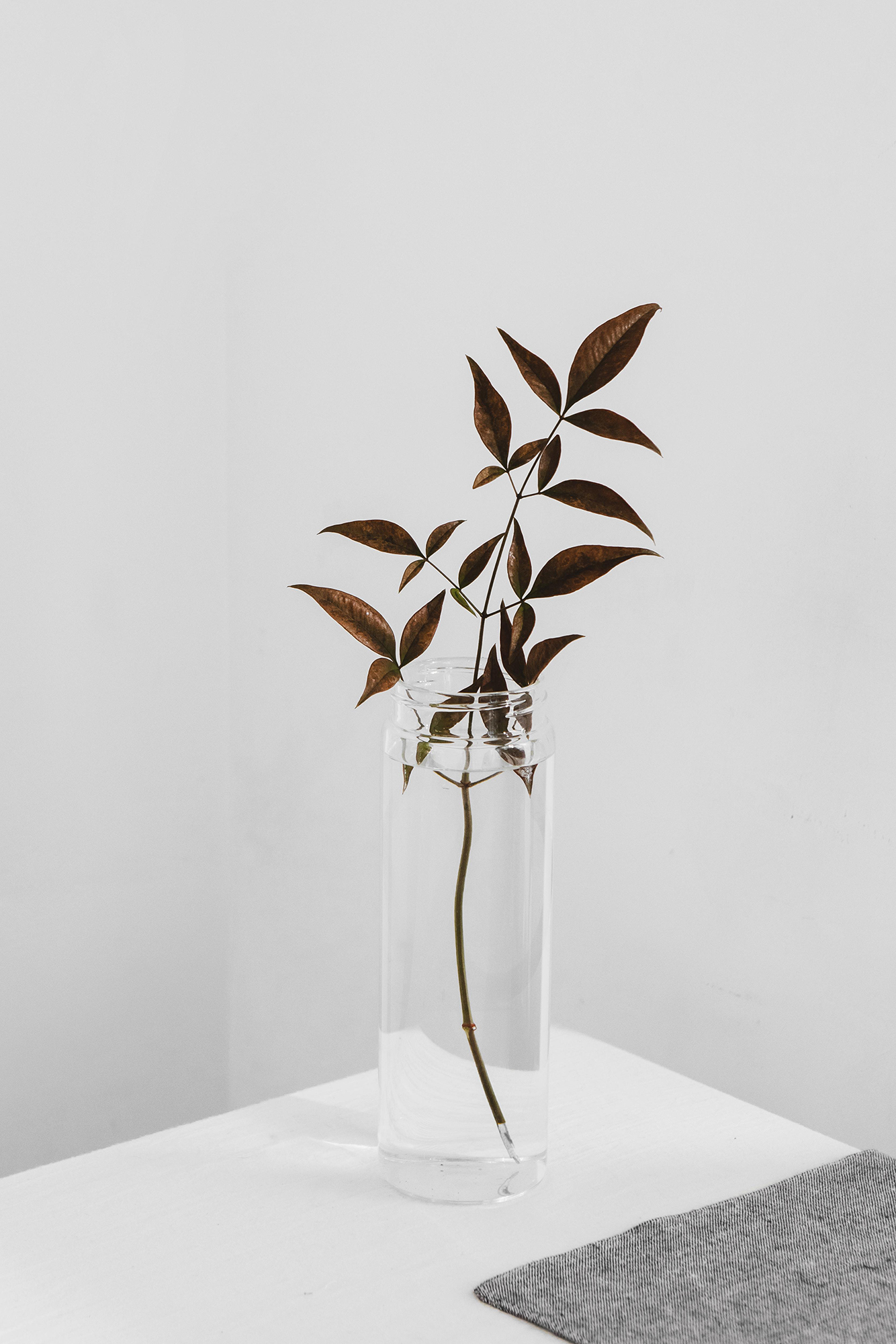 Desktop Glass Plant - Properties pot