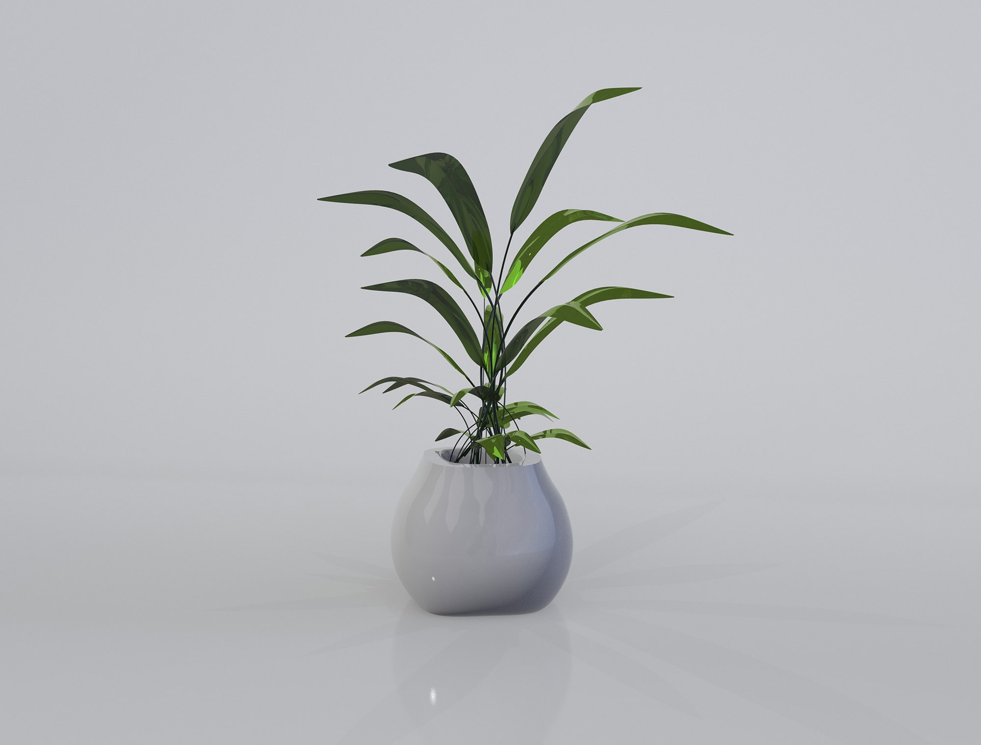 Green FrondandFolia Plant - Properties pot